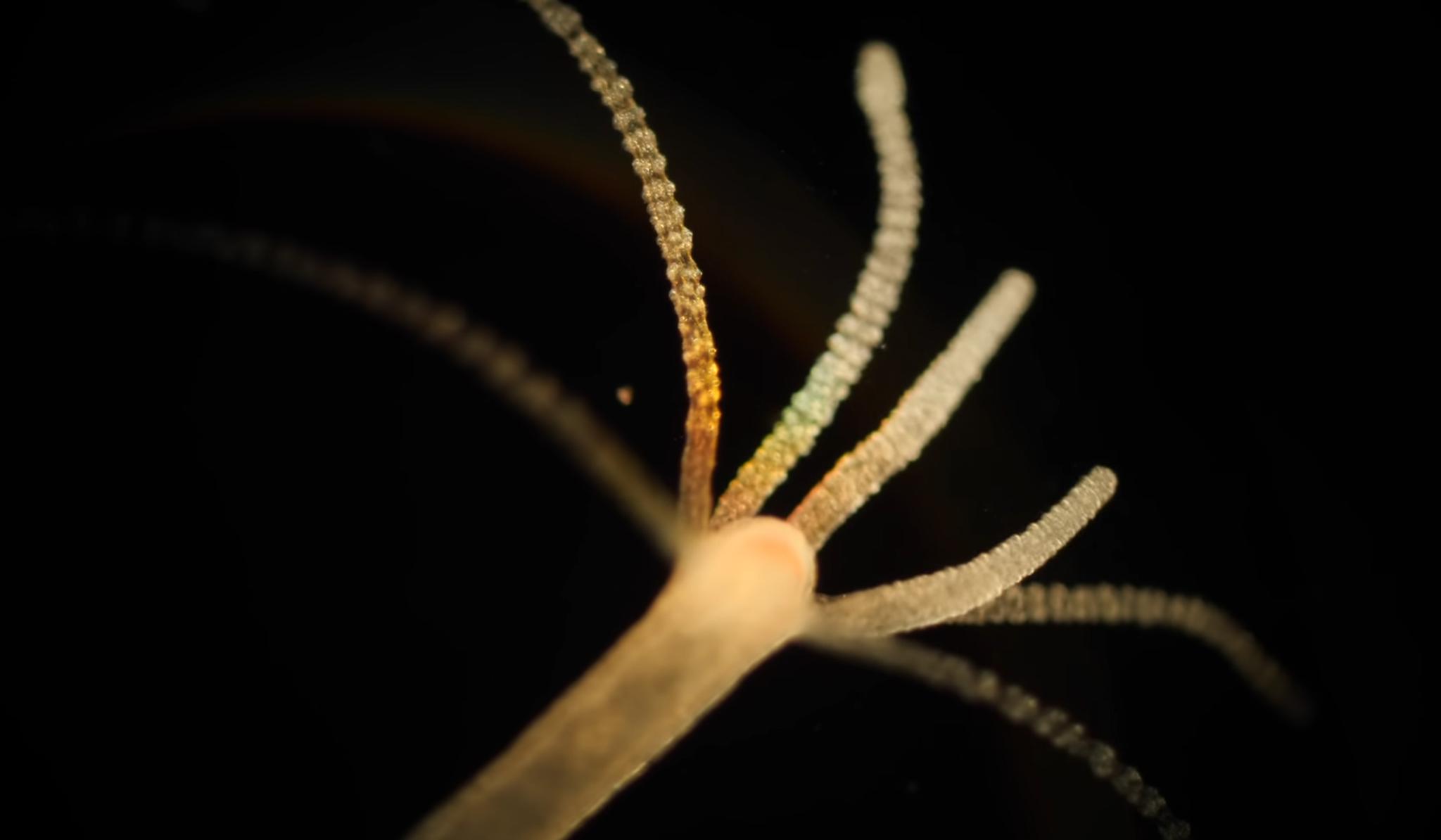 Science — Oceans and water | Aeon