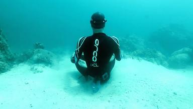 Dances with whales: the ethereal underwater vistas of an elite ...