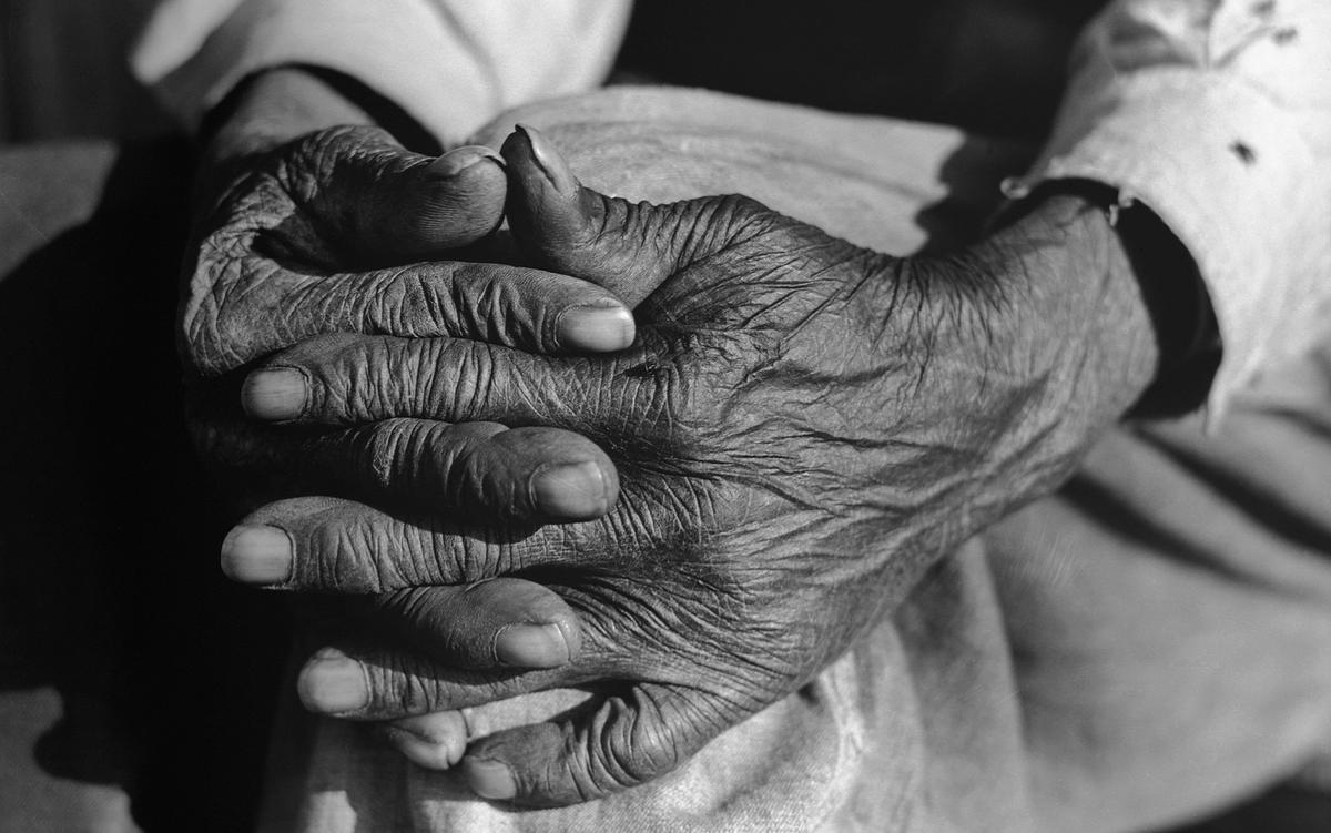 Dare we compare American slavery to the Holocaust? | Aeon Essays