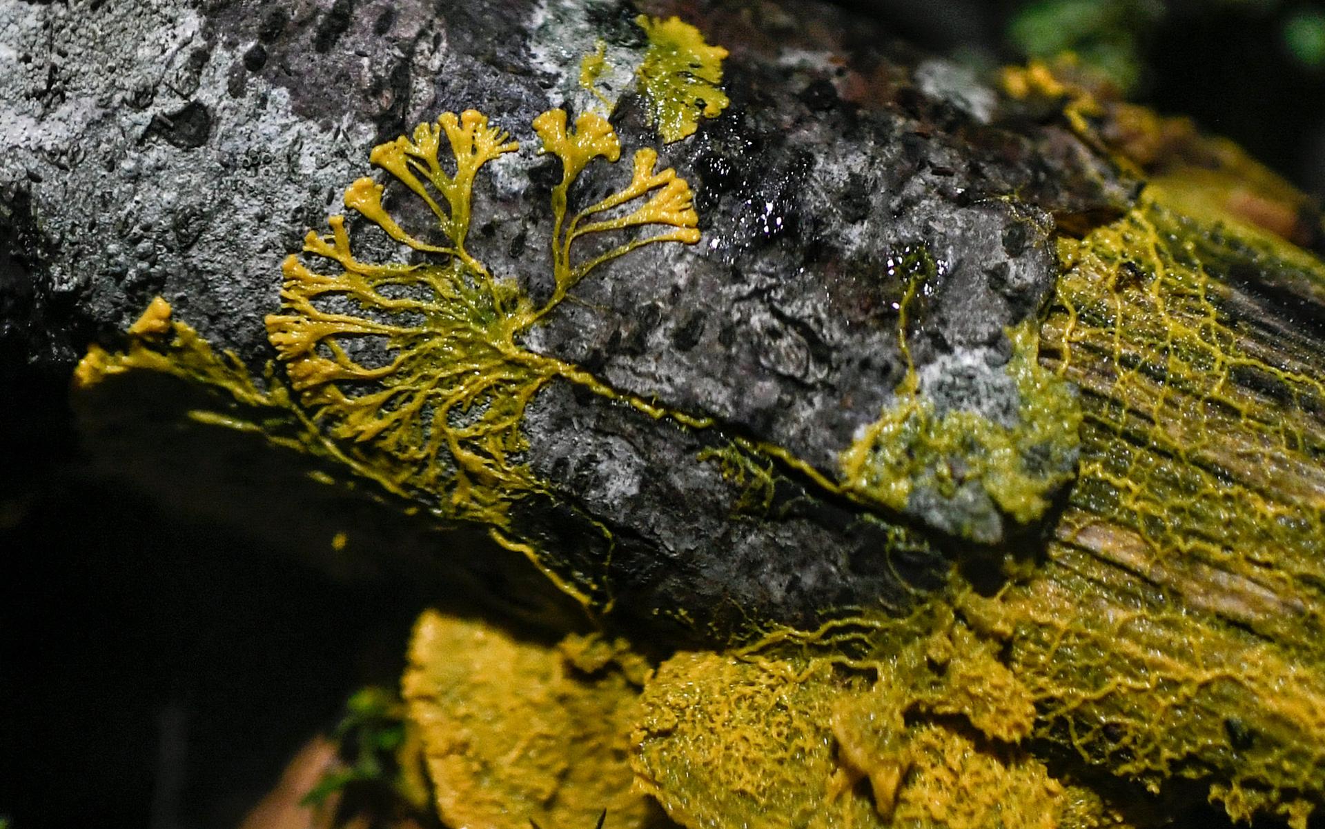 Your brain does not process information and it is not a computer | Aeon ...