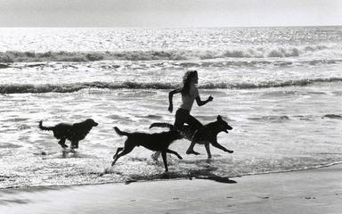 How evolution favoured costly and frivolous animal play | Aeon Essays