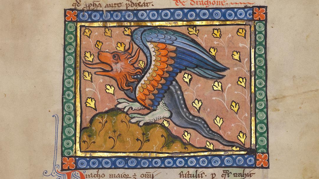 Videos — Latest | Aeon