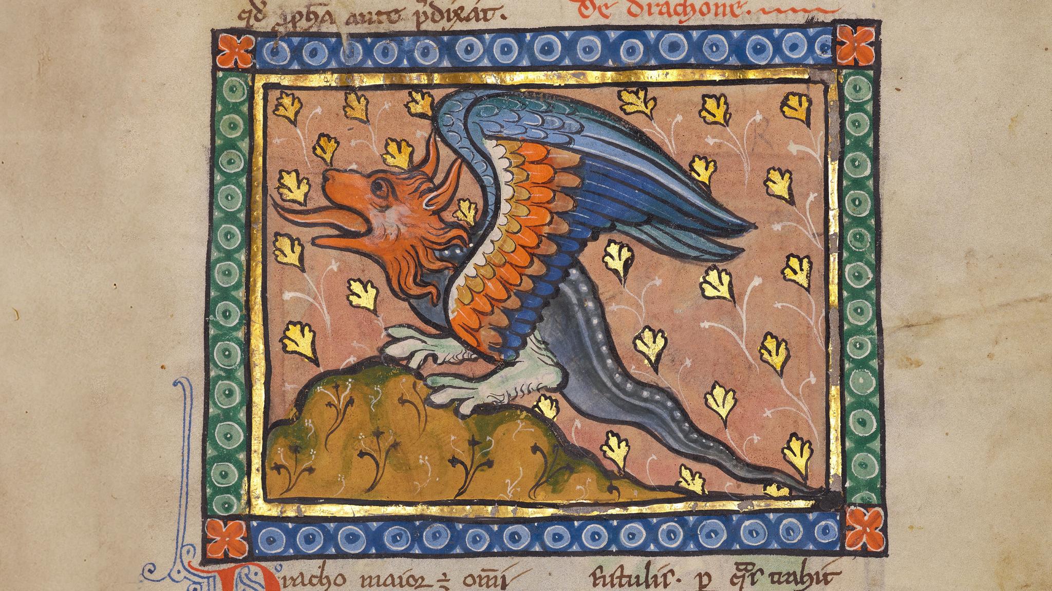 Society — Animals and humans | Aeon