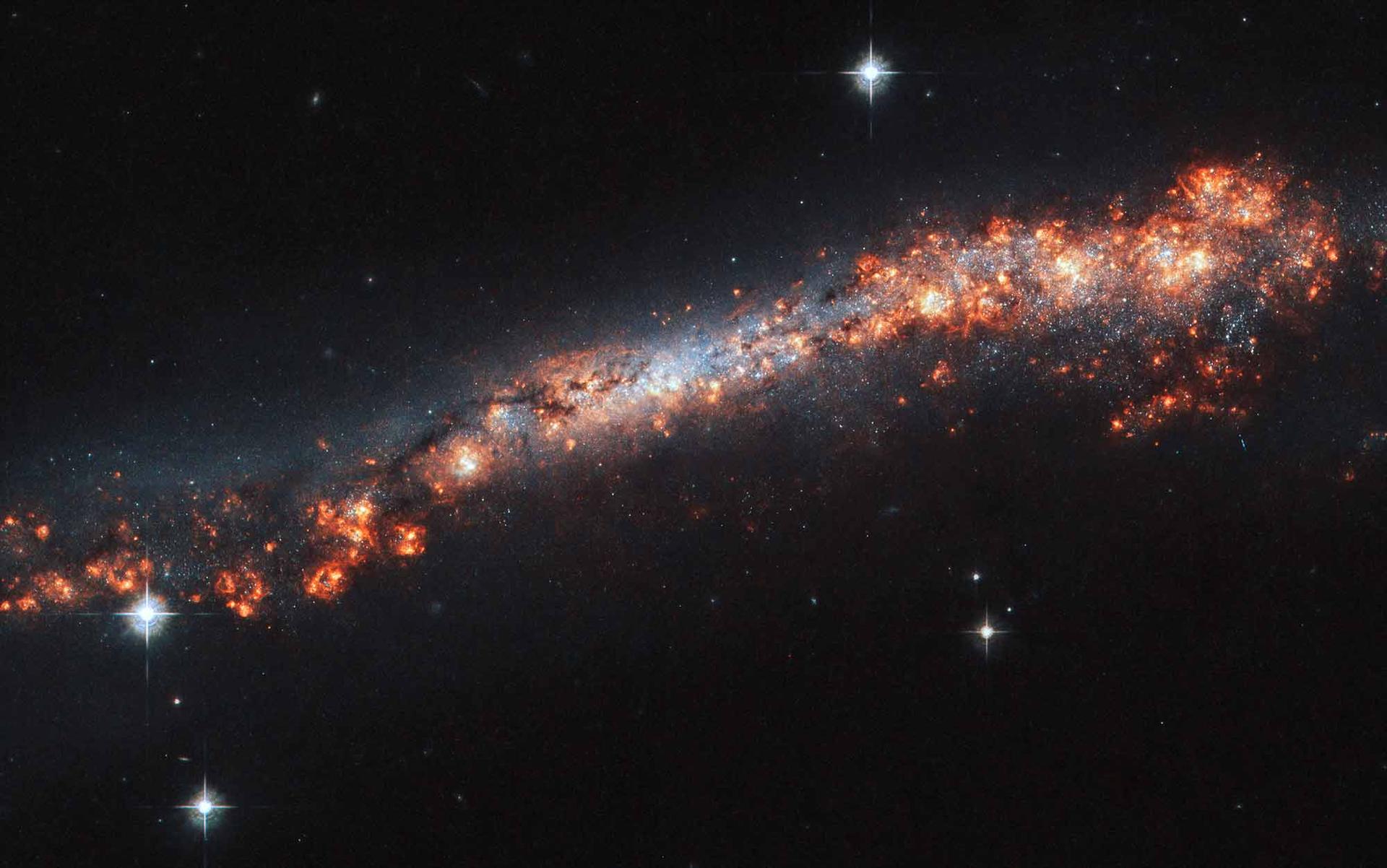 How the Many-Worlds theory of Hugh Everett split the Universe | Aeon Essays