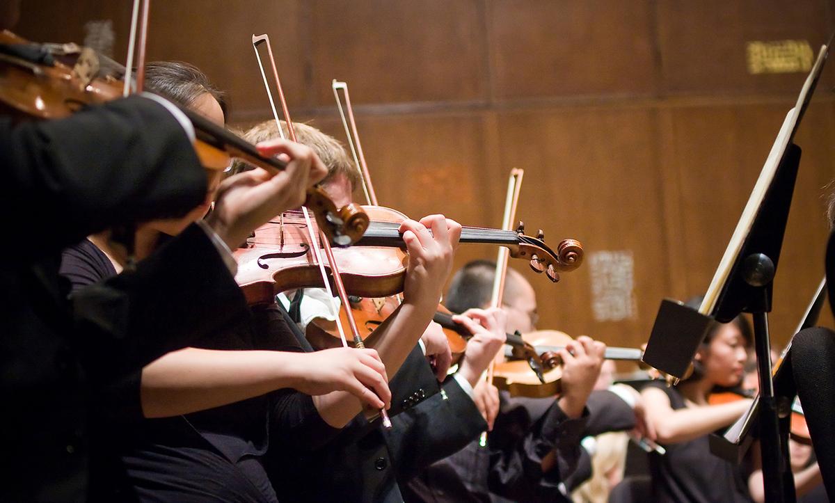 How the orchestra is arranged by the biology of the brain | Aeon Ideas