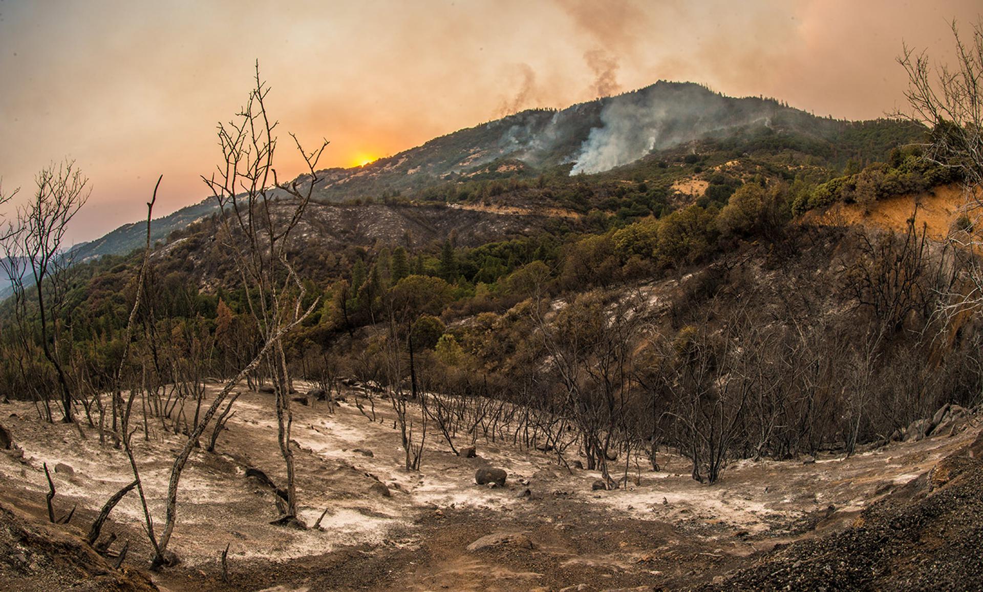Is there a limit to optimism when it comes to climate change? | Aeon Ideas