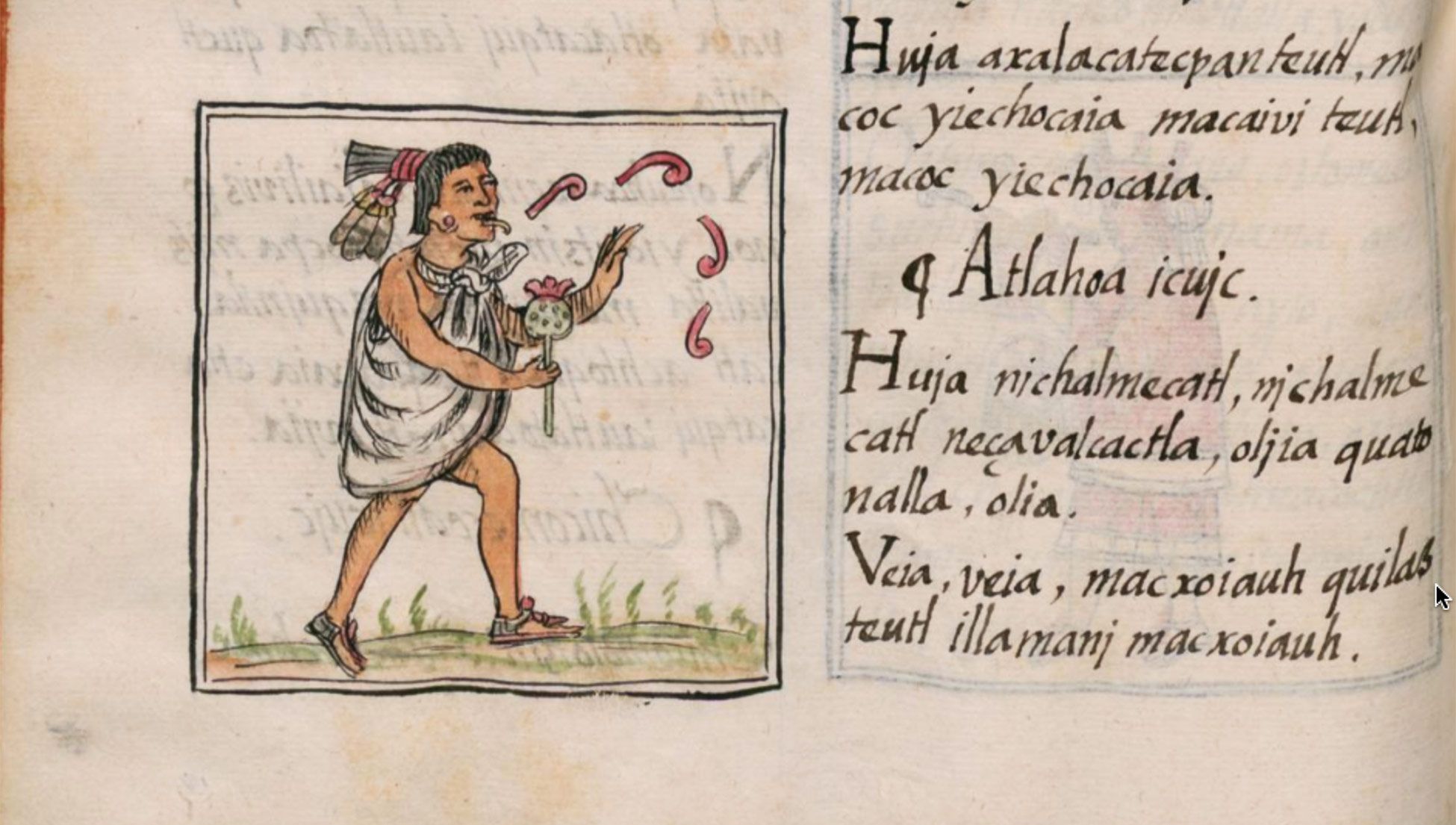 Learning Nahuatl, the flower song, and the poetics of life | Psyche Ideas