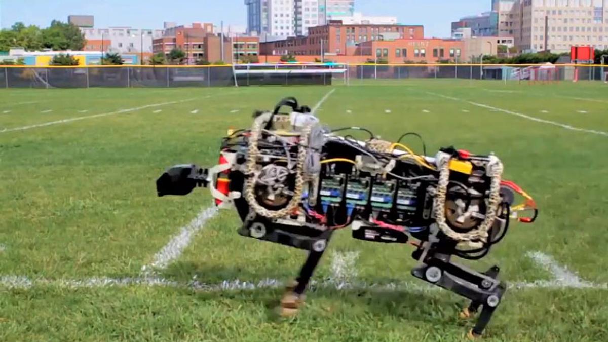 Could this development in biomimetic robotics change terrestrial ...