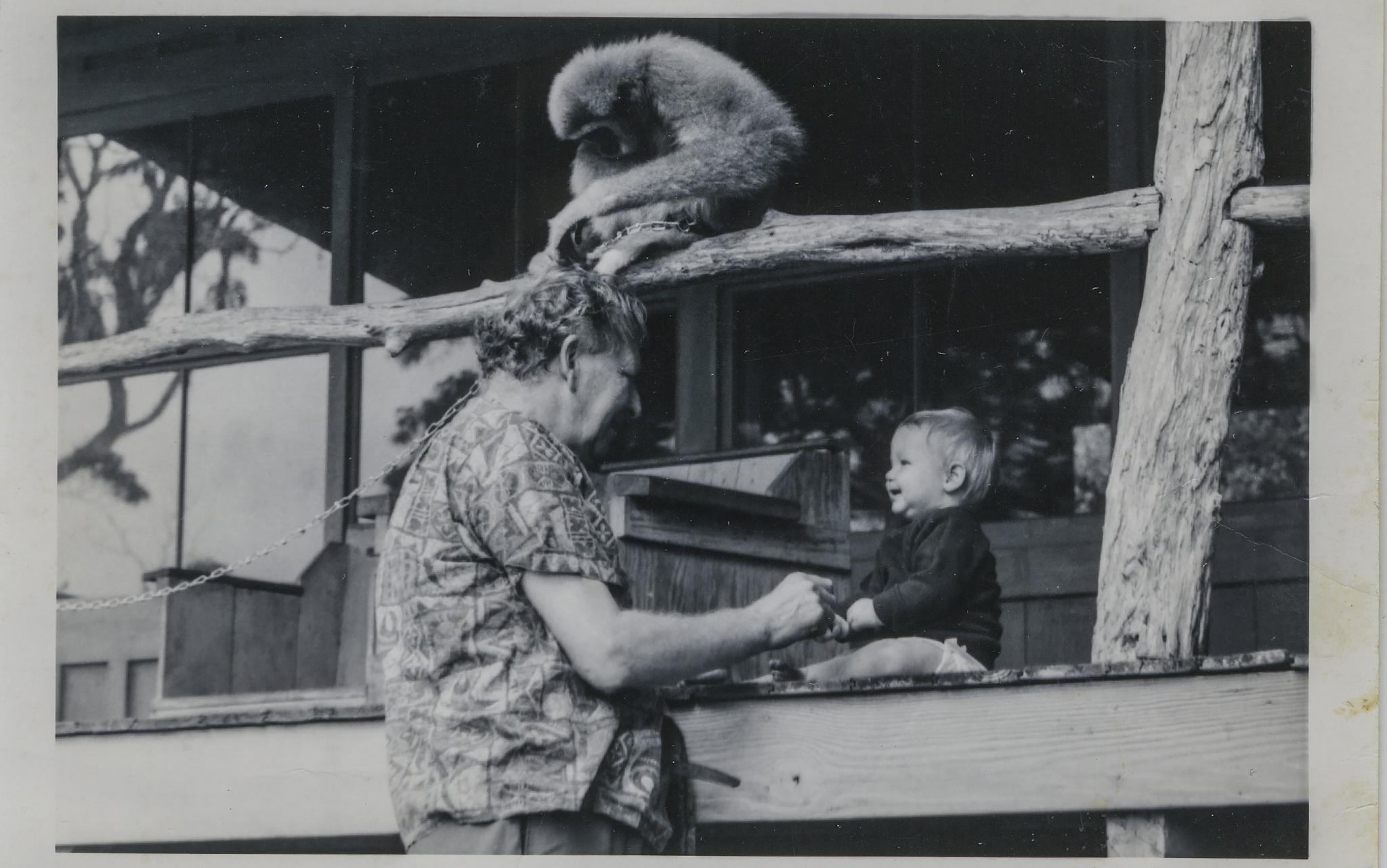 Gregory Bateson changed the way we think about changing ourselves ...