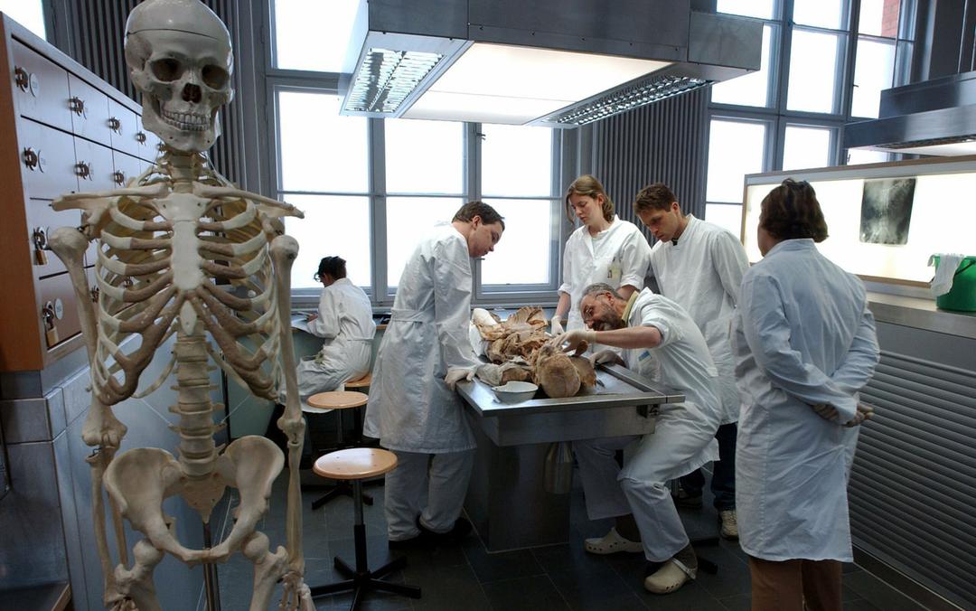 The only after-life I believe is donating my body to science | Aeon Essays