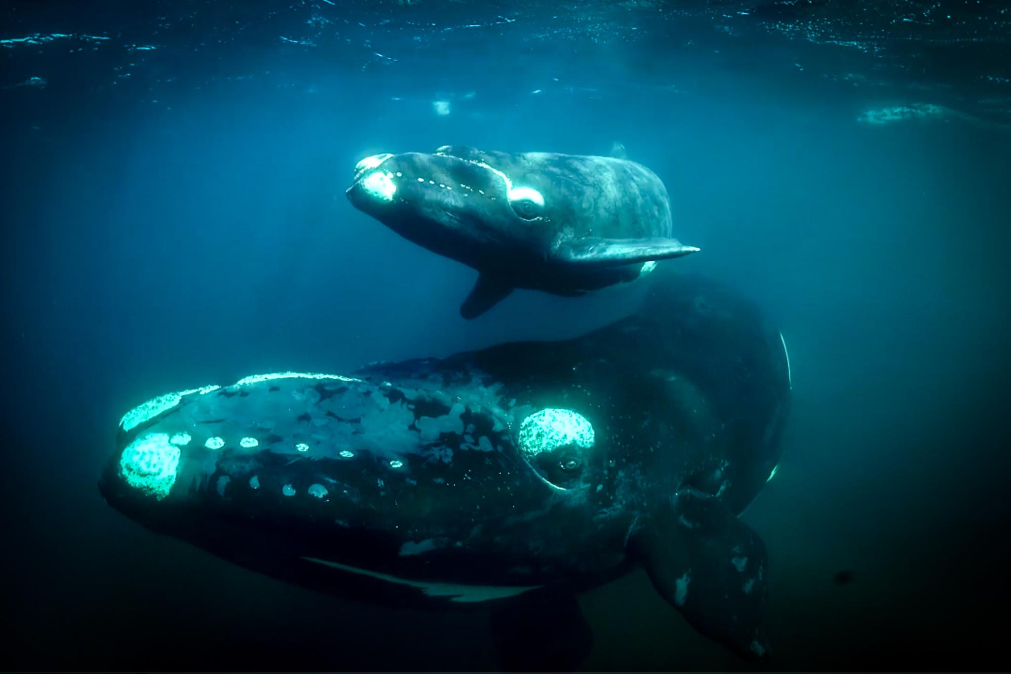 A new theory suggests mistakes are an essential part of being alive ...