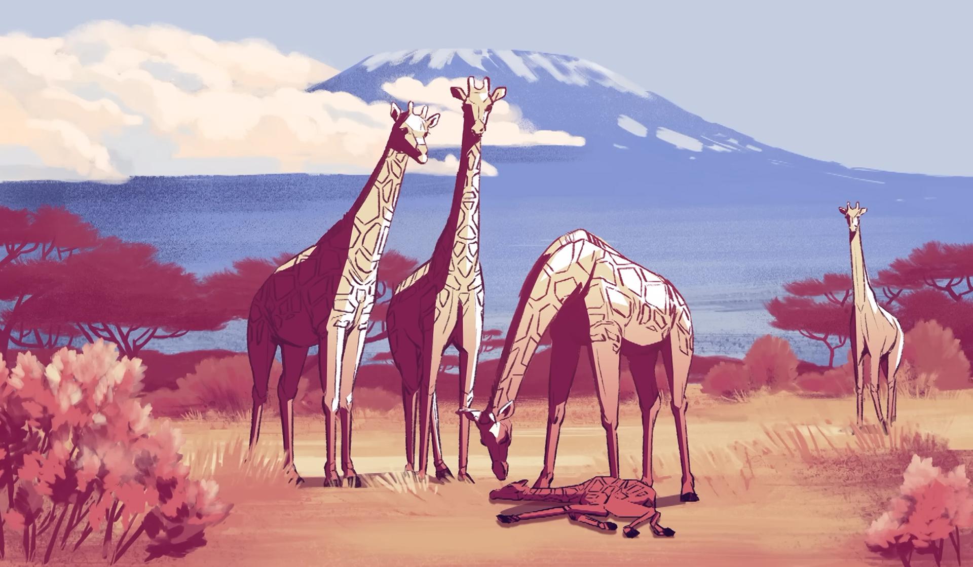 Society — Animals and humans | Aeon