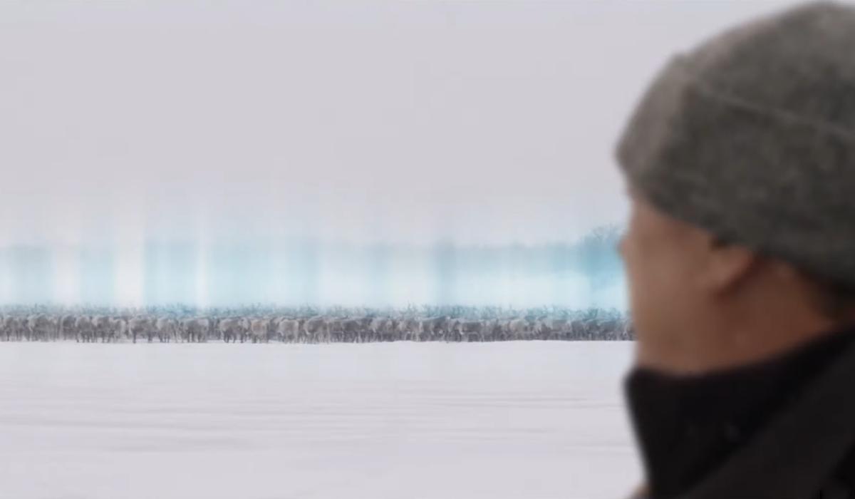 Honouring the caribou, in dreams and memories from an Innu singer ...