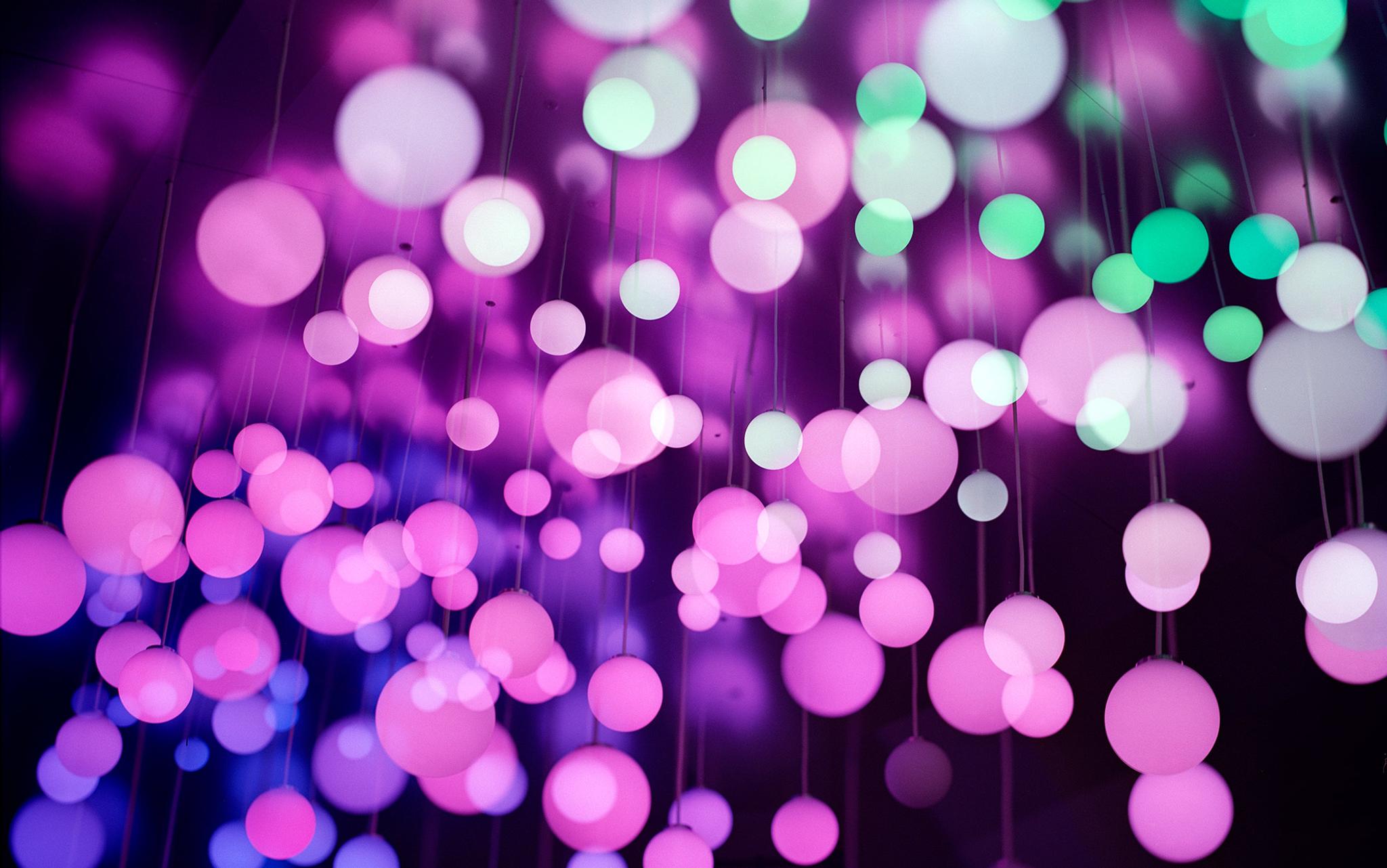 What really happens in Schrödinger’s box? | Aeon Essays