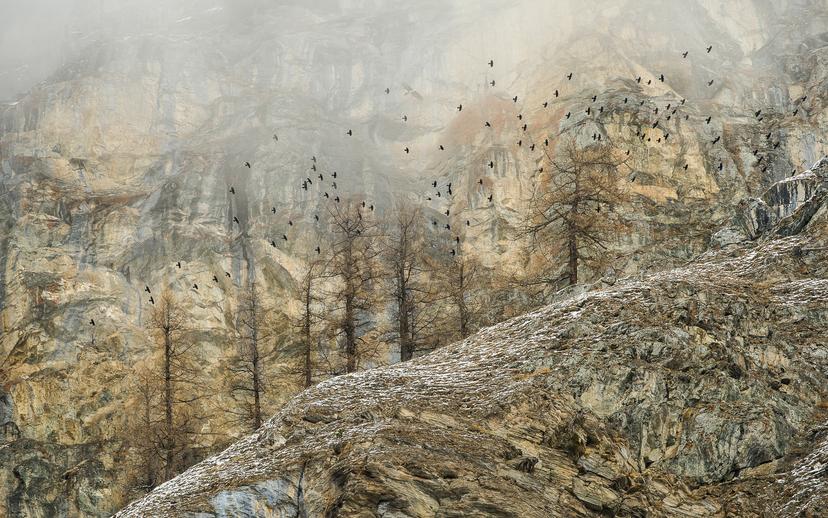 Philosophy — Philosophy of religion | Aeon