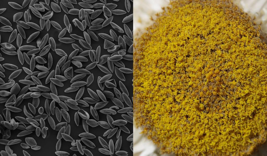 Science — Complexity | Aeon