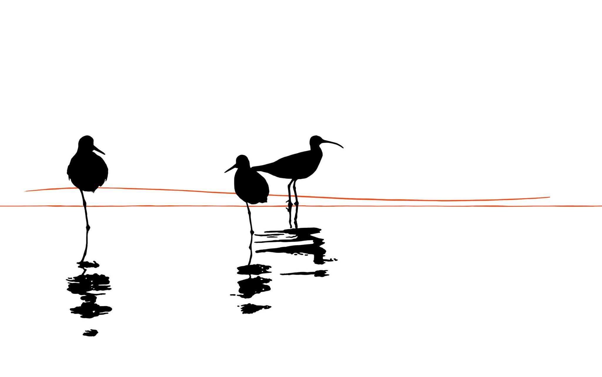 The logic of Buddhist philosophy goes beyond simple truth | Aeon Essays