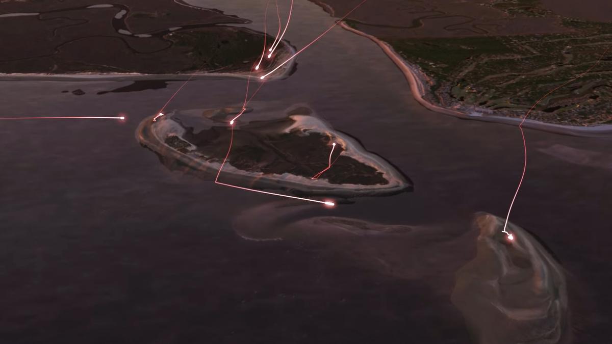 GPS tracking reveals stunning insights into the patterns of migratory ...