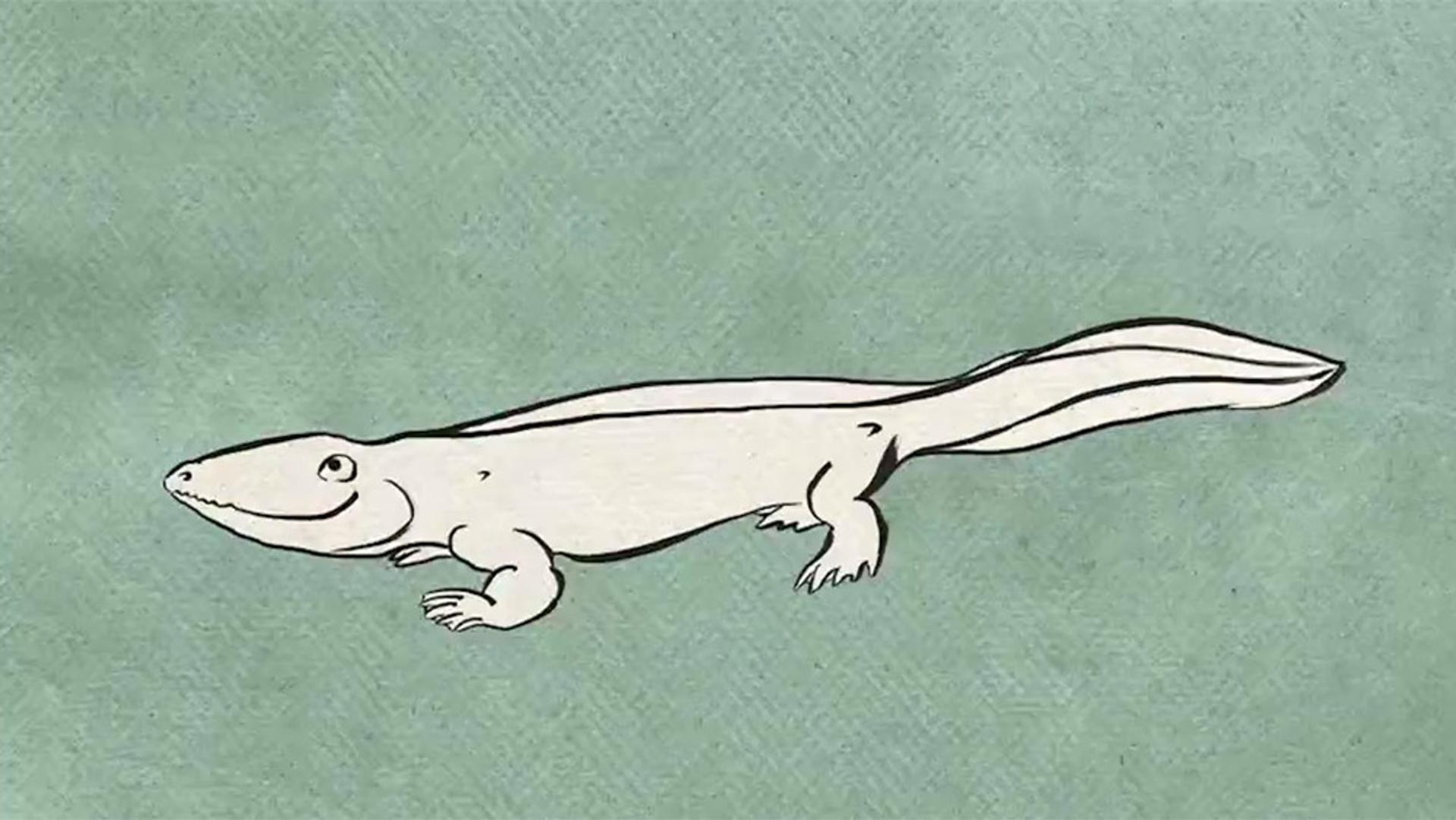 The many ways a lizard tongue sticks, grasps, pinches and plops – in ...
