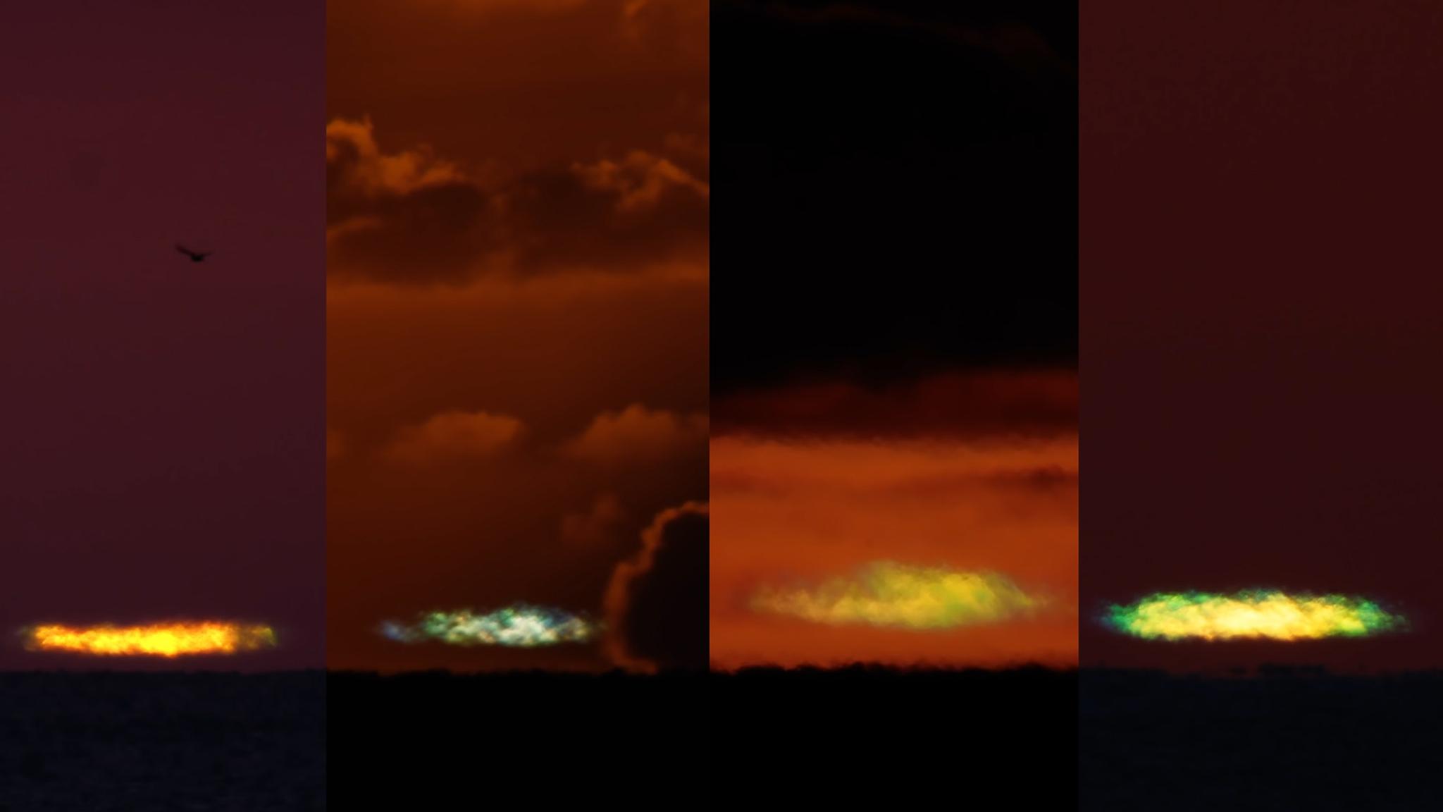 Oceans and water | Aeon