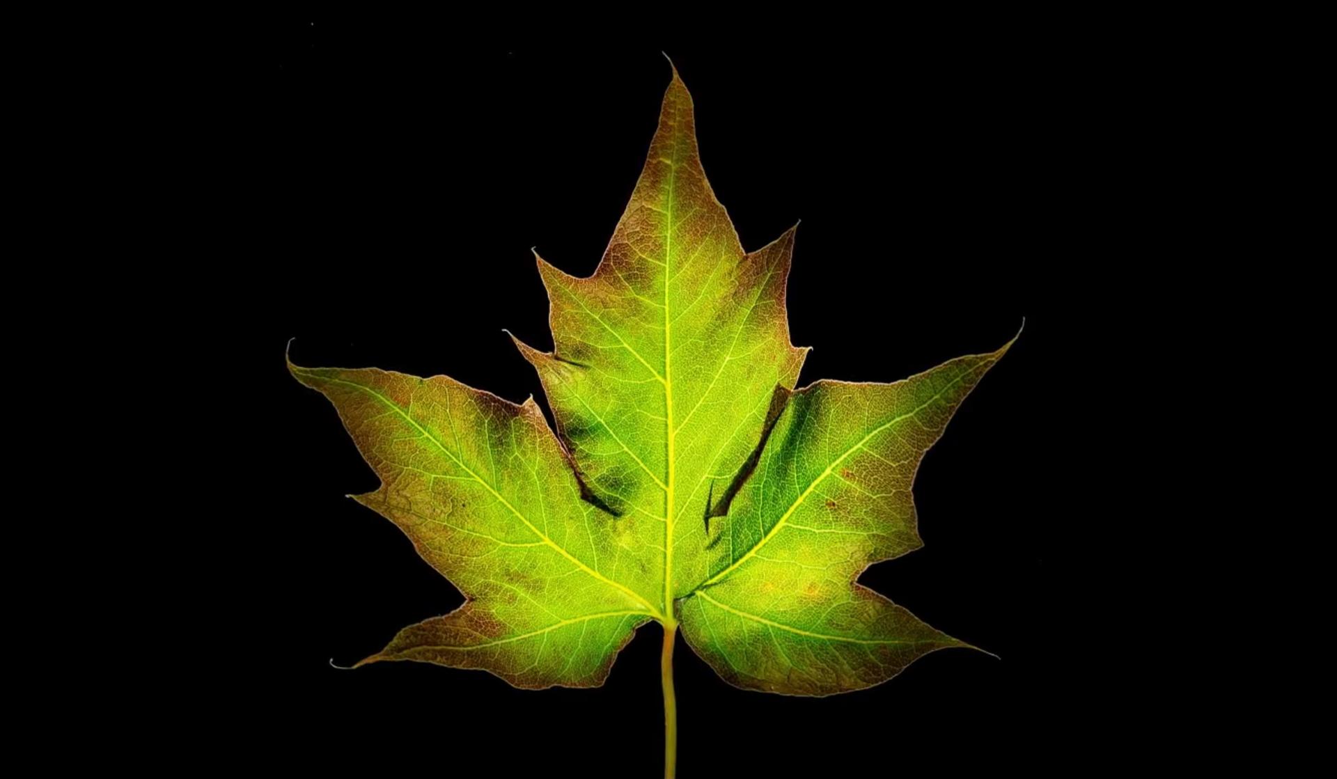 Culture — Nature and landscape | Aeon