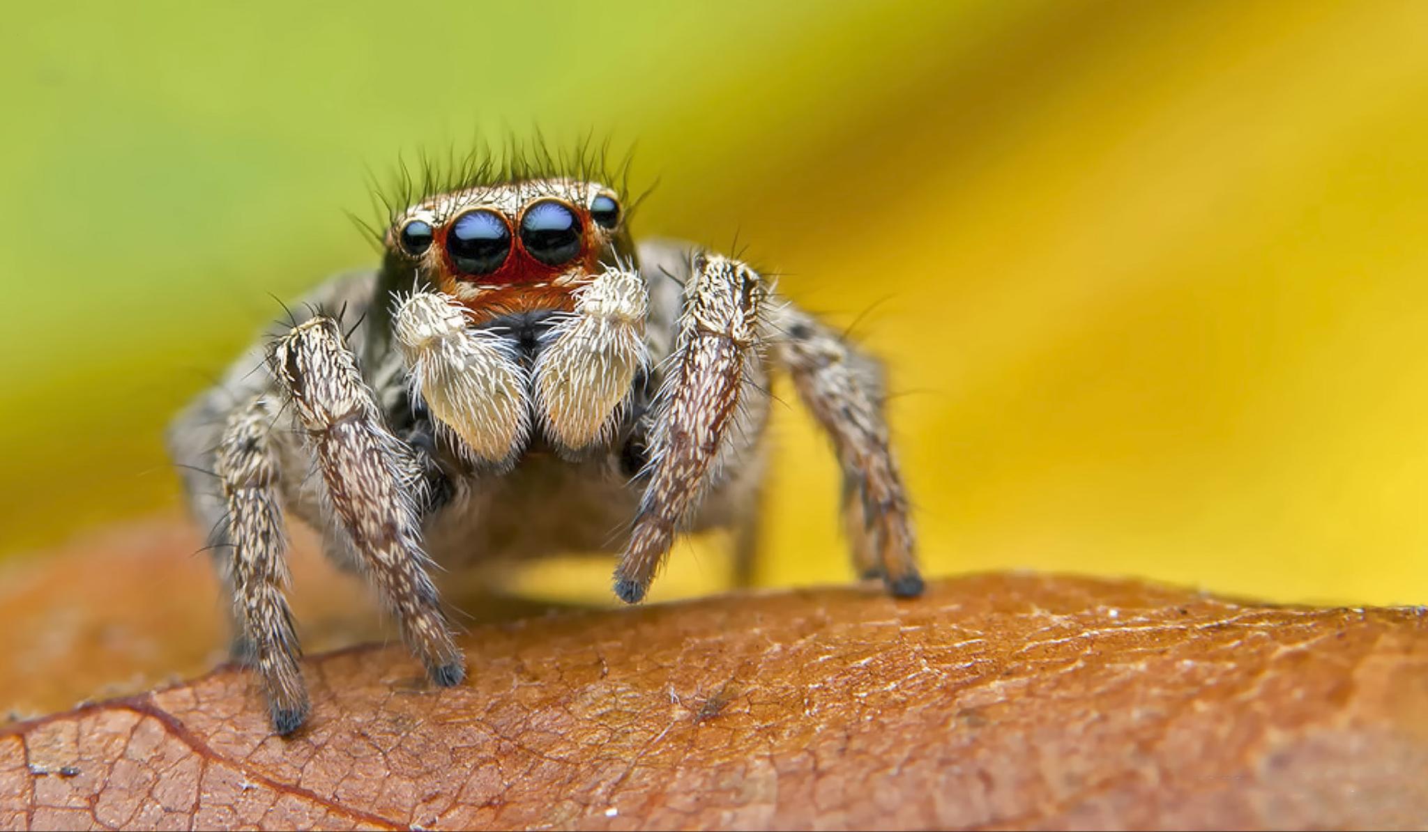 Science Evolution Aeon