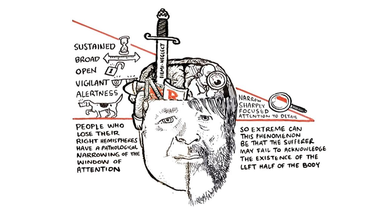 Our divided brains are far more complex and remarkable than a left ...
