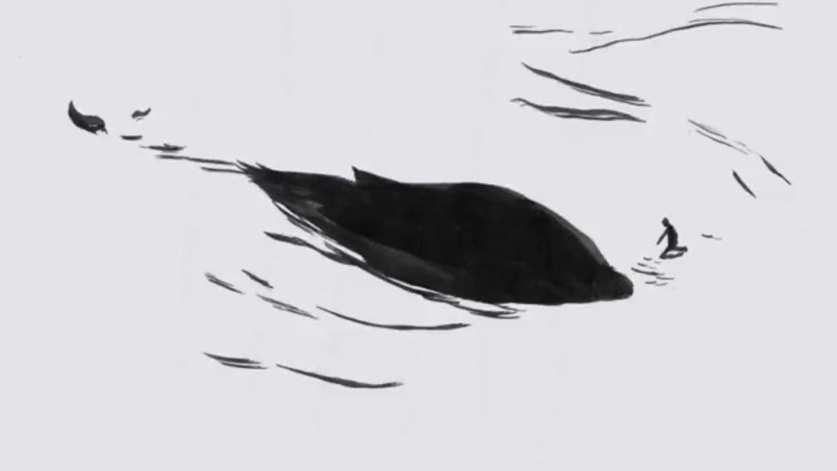 A whale can live 50-75 years. Its afterlife is equally long and ...