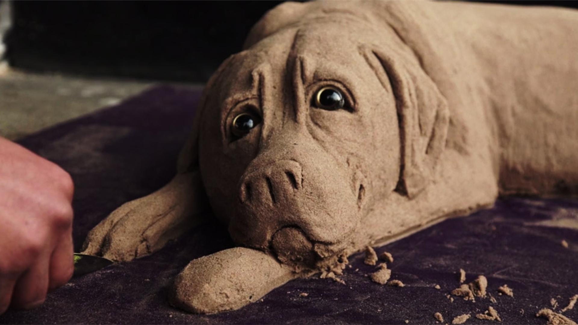 How three Mexican window-washers of Chicago’s skyscrapers see the world ...