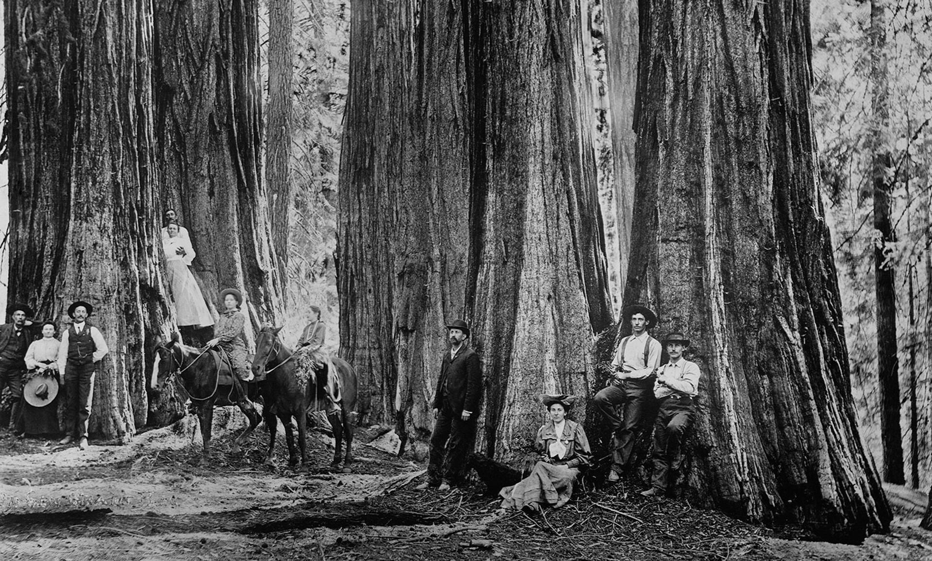 A future just, green and free, under a tree named Karl Marx | Aeon Ideas