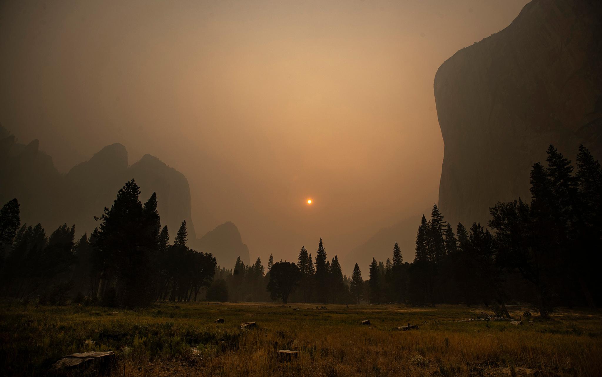 What Yosemite’s fire history says about life in the Pyrocene | Aeon Essays