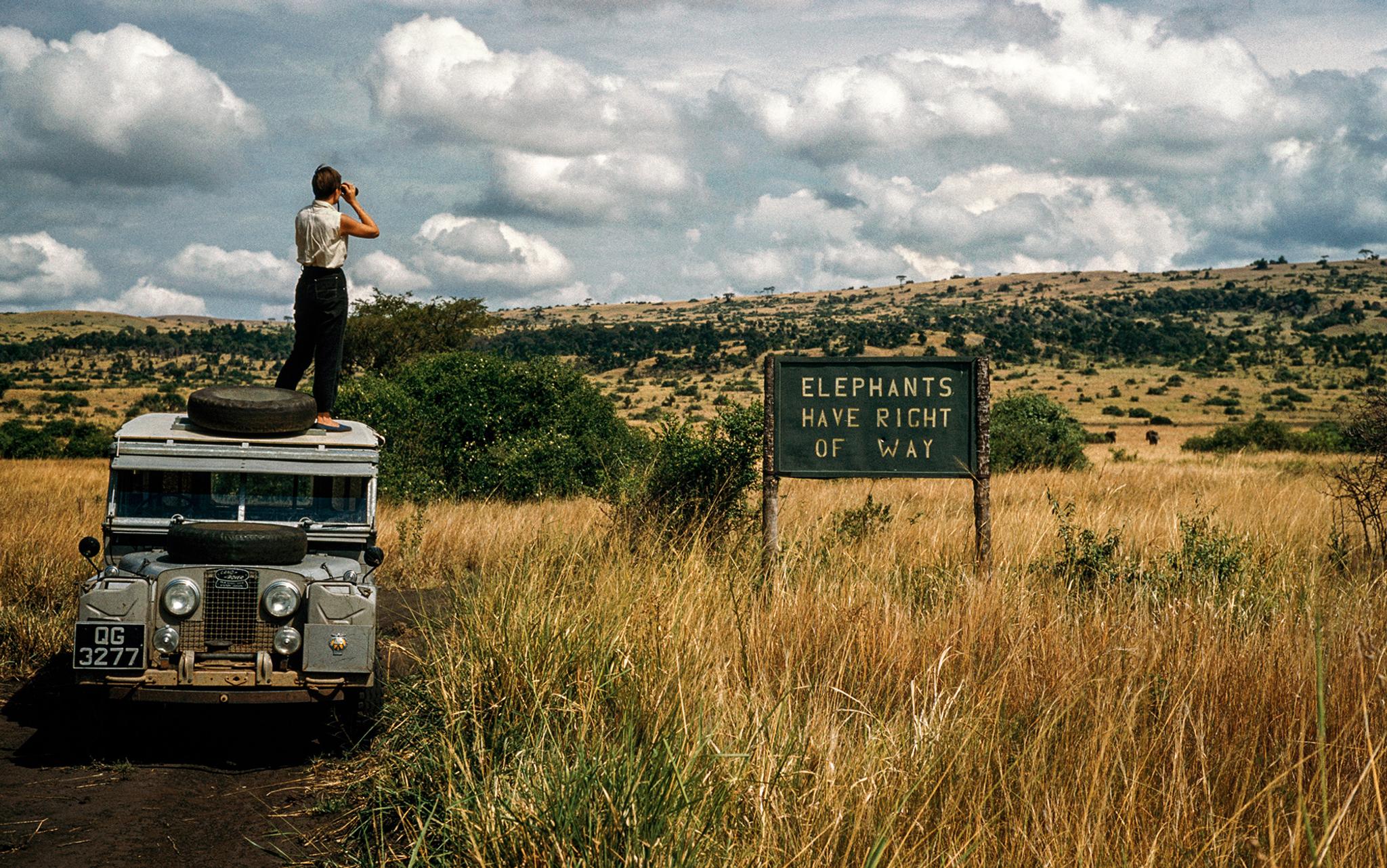 Human exceptionalism is a danger to all, human and nonhuman | Aeon Essays