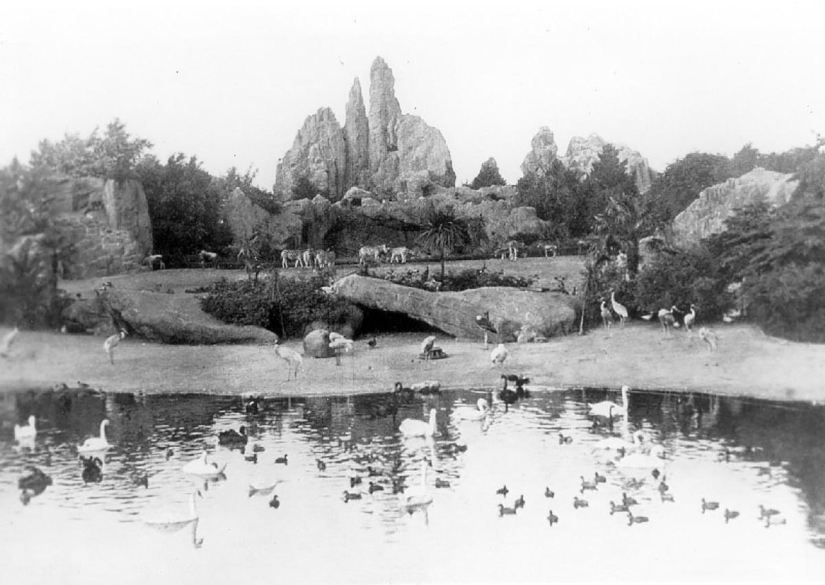 Have modern zoos really put their history behind them? | Aeon Essays