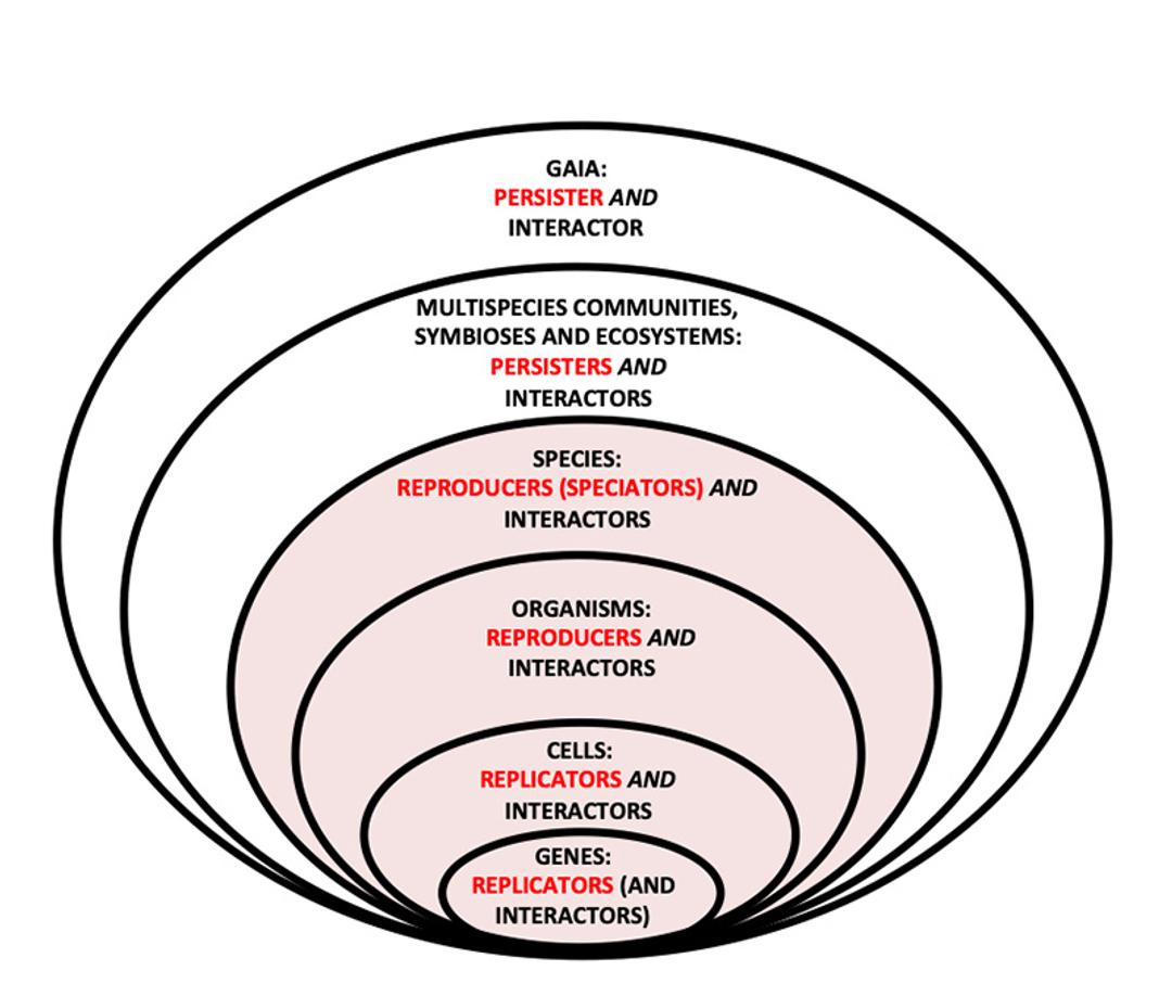 The Gaia hypothesis reimagined by one of its key sceptics | Aeon Essays
