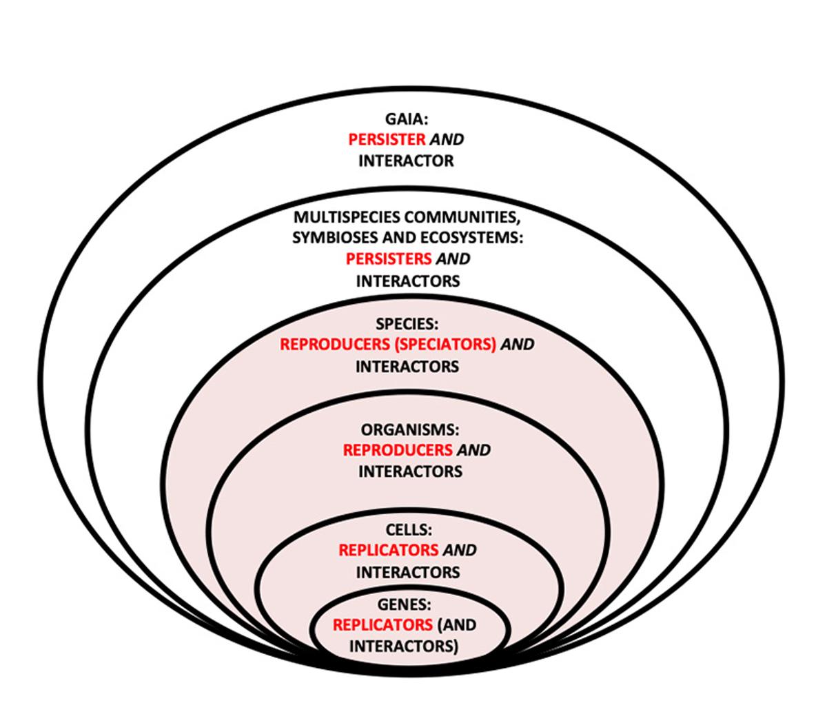 The Gaia hypothesis reimagined by one of its key sceptics | Aeon Essays