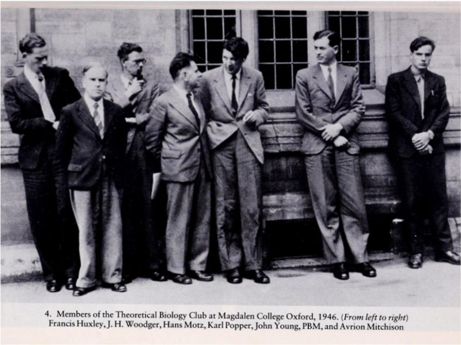 How Popperian falsification enabled the rise of neoliberalism | Aeon Essays