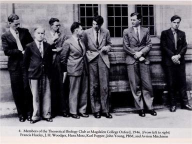 How Popperian falsification enabled the rise of neoliberalism | Aeon Essays