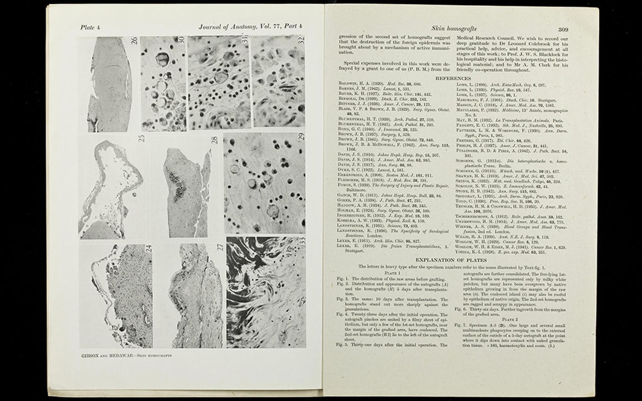 How Popperian falsification enabled the rise of neoliberalism | Aeon Essays