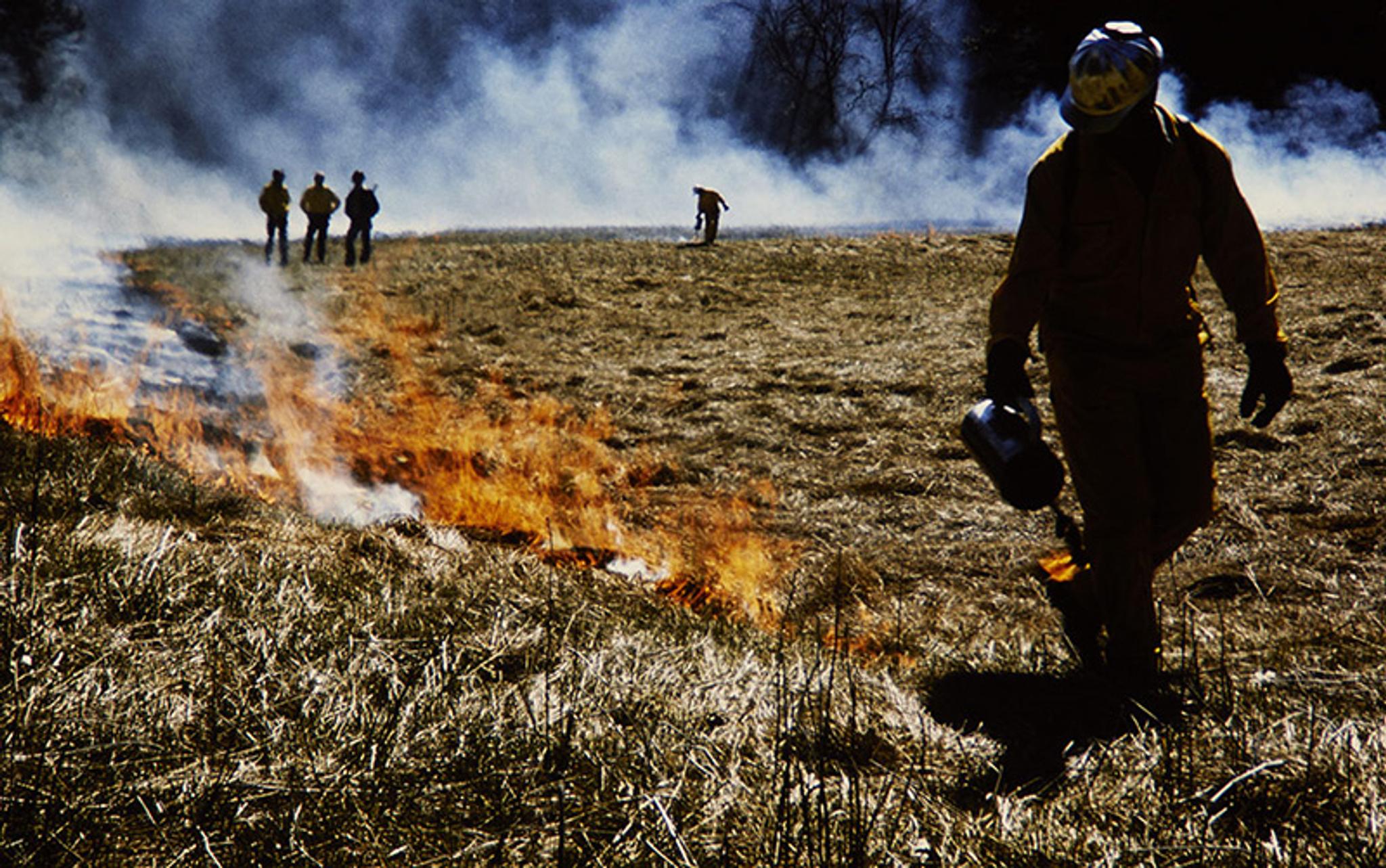 What Yosemite’s fire history says about life in the Pyrocene | Aeon Essays