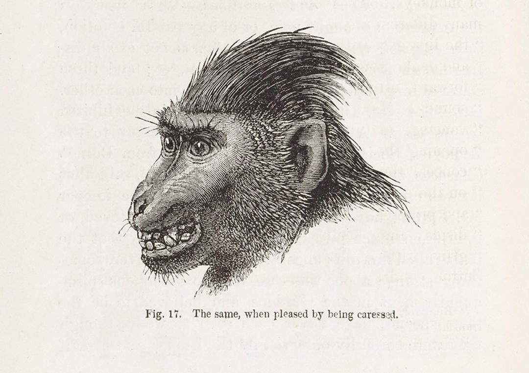 A history of the smile through art, culture and etiquette | Aeon Essays