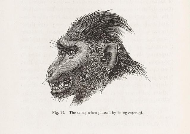 A history of the smile through art, culture and etiquette | Aeon Essays