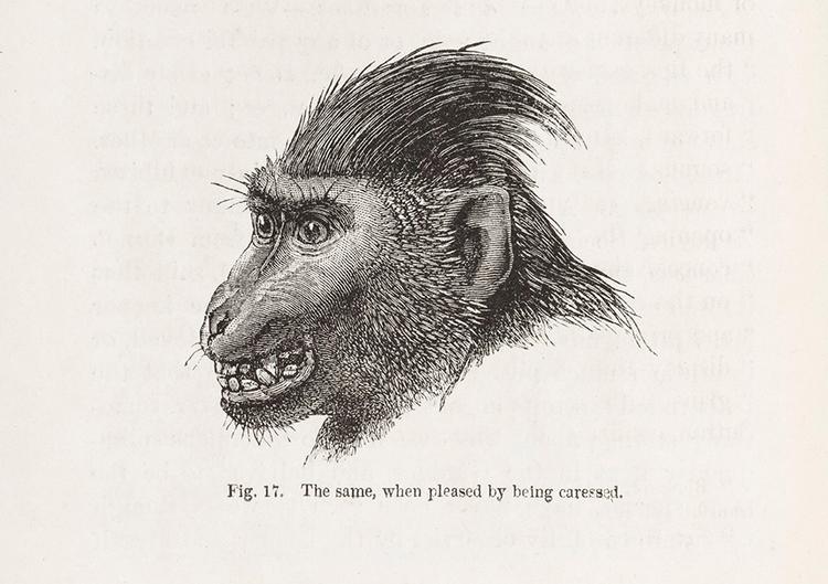 A history of the smile through art, culture and etiquette | Aeon Essays