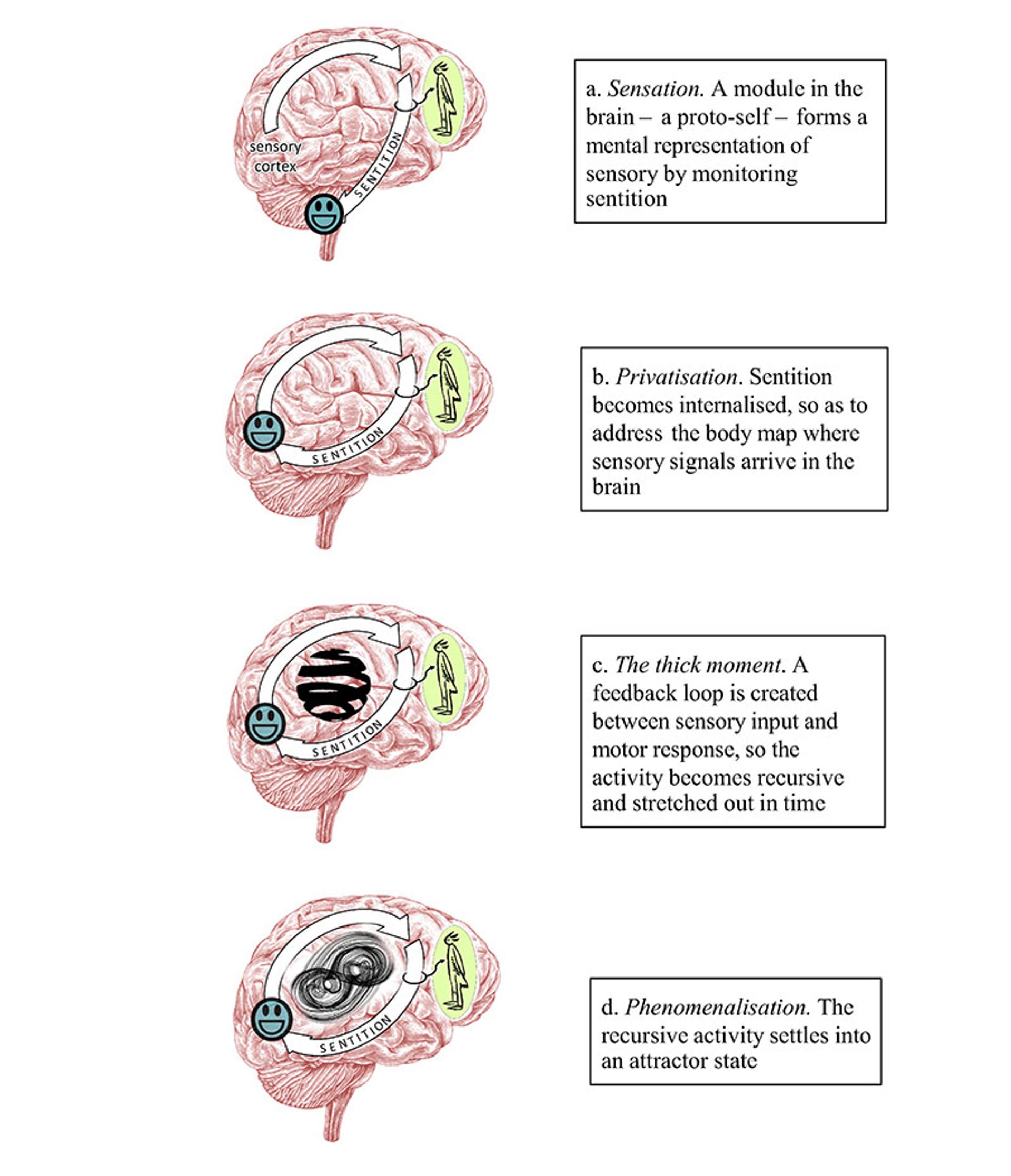 How blindsight answers the hard problem of consciousness | Aeon Essays