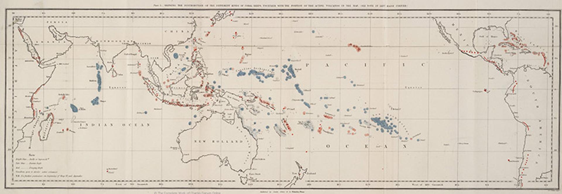 The insight of Darwin’s work on corals, worms and co-evolution | Aeon ...