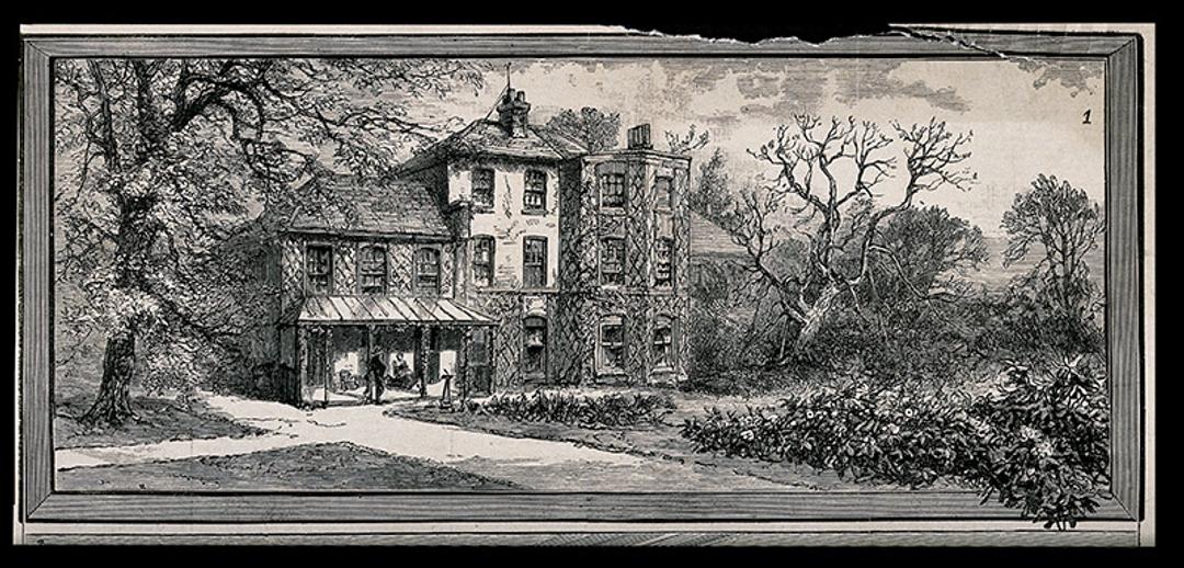 The insight of Darwin’s work on corals, worms and co-evolution | Aeon ...