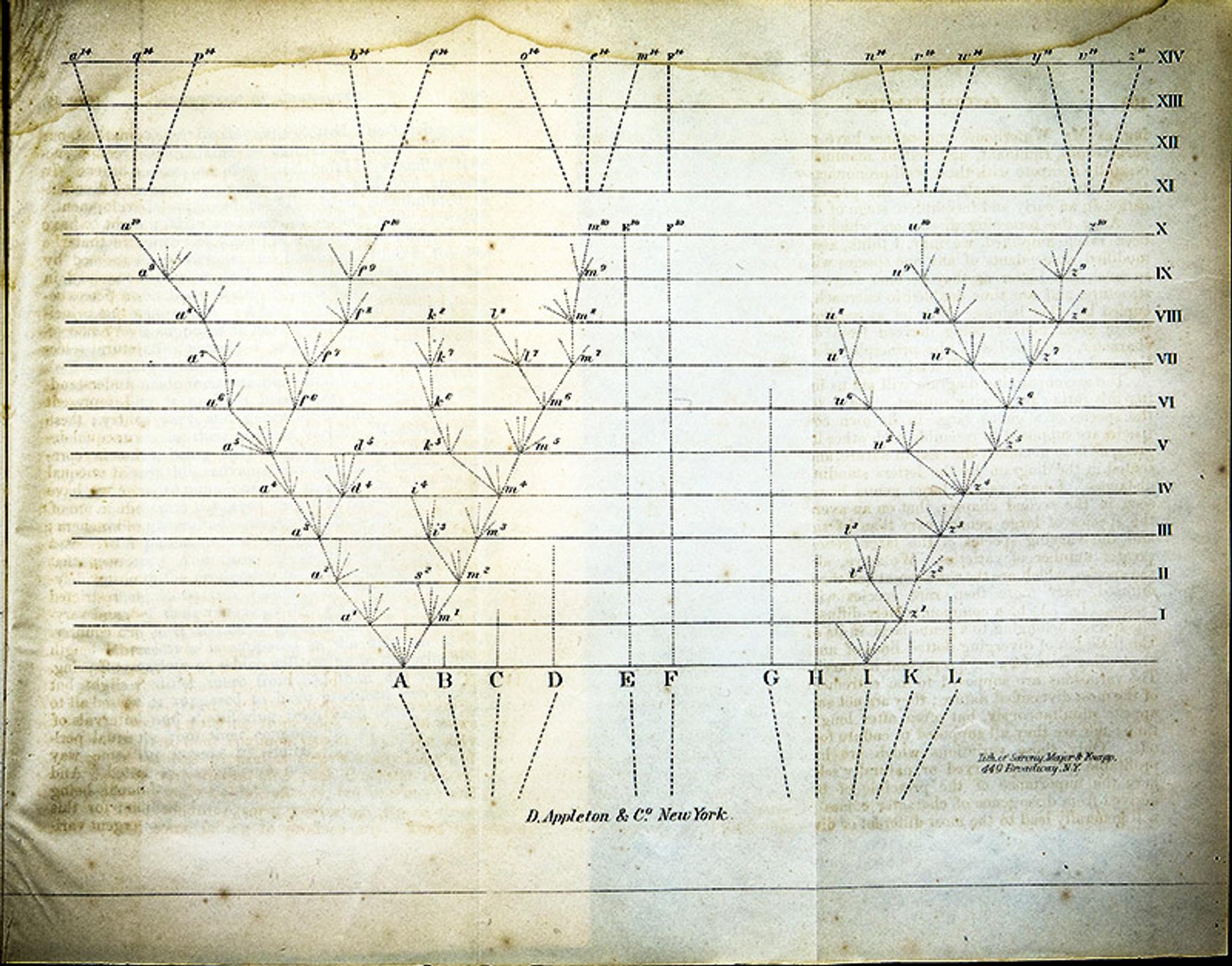 The insight of Darwin’s work on corals, worms and co-evolution | Aeon ...