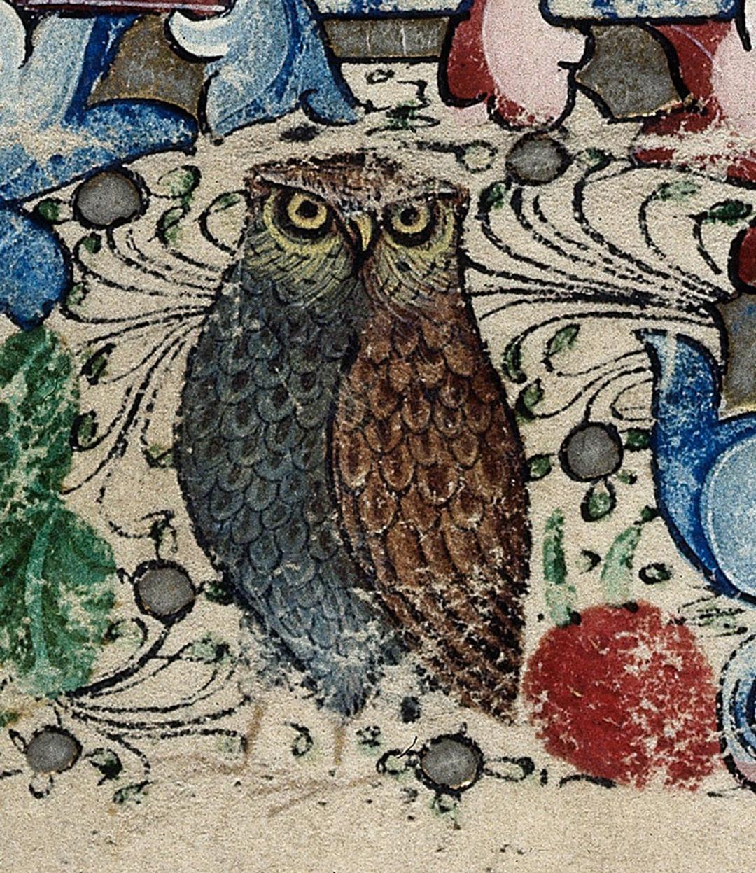 British place names resonate with the song of missing birds | Aeon Essays