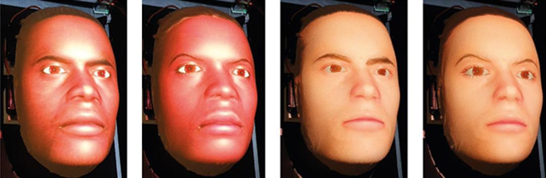 To understand AI sentience, first understand it in animals | Aeon Essays