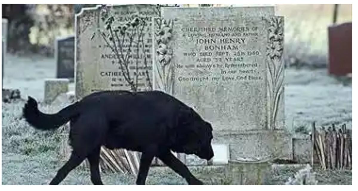 How should we understand the weird experience of coincidence? | Aeon Essays