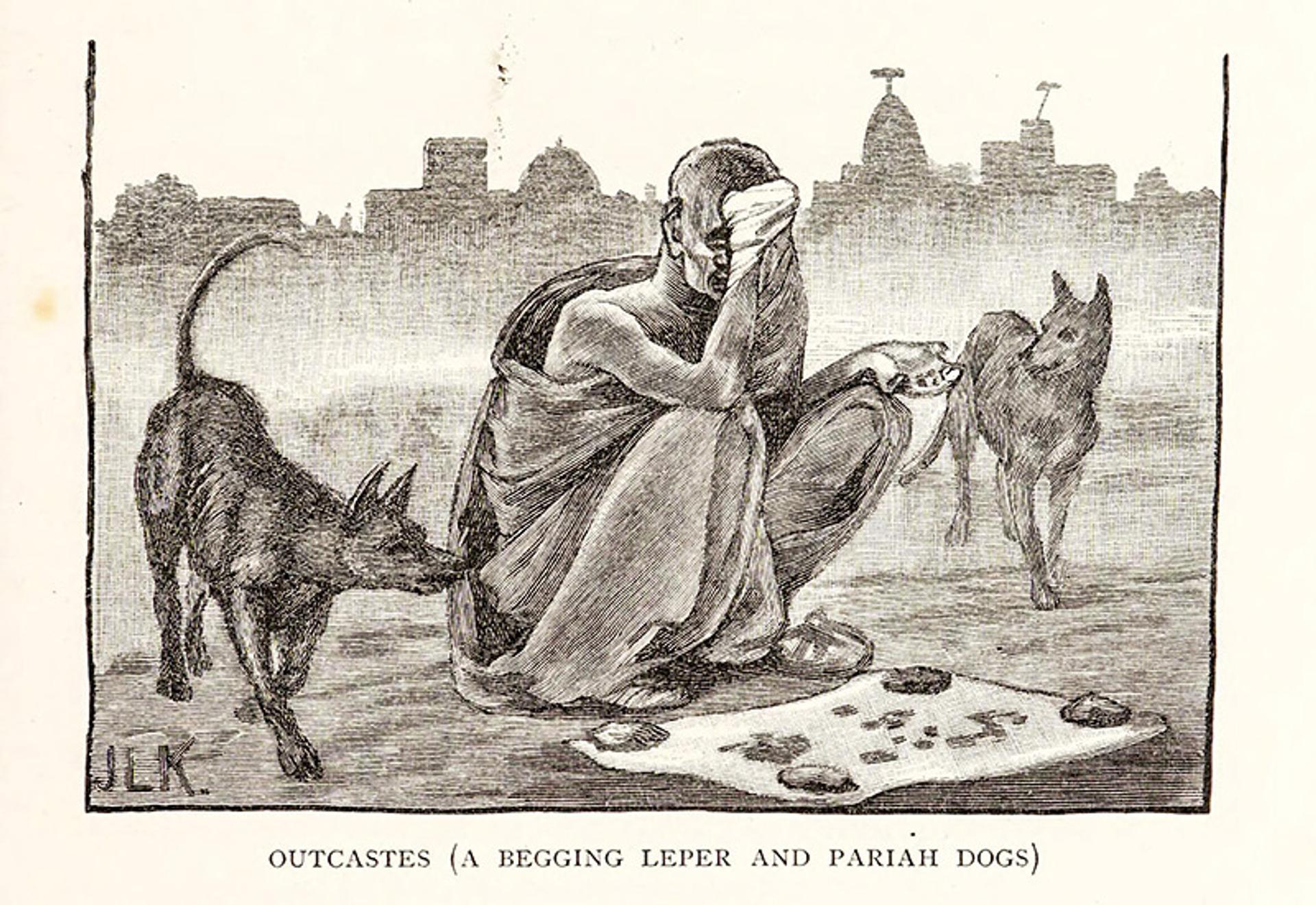 Dogs on India’s streets can be freer and happier than many pets | Aeon ...